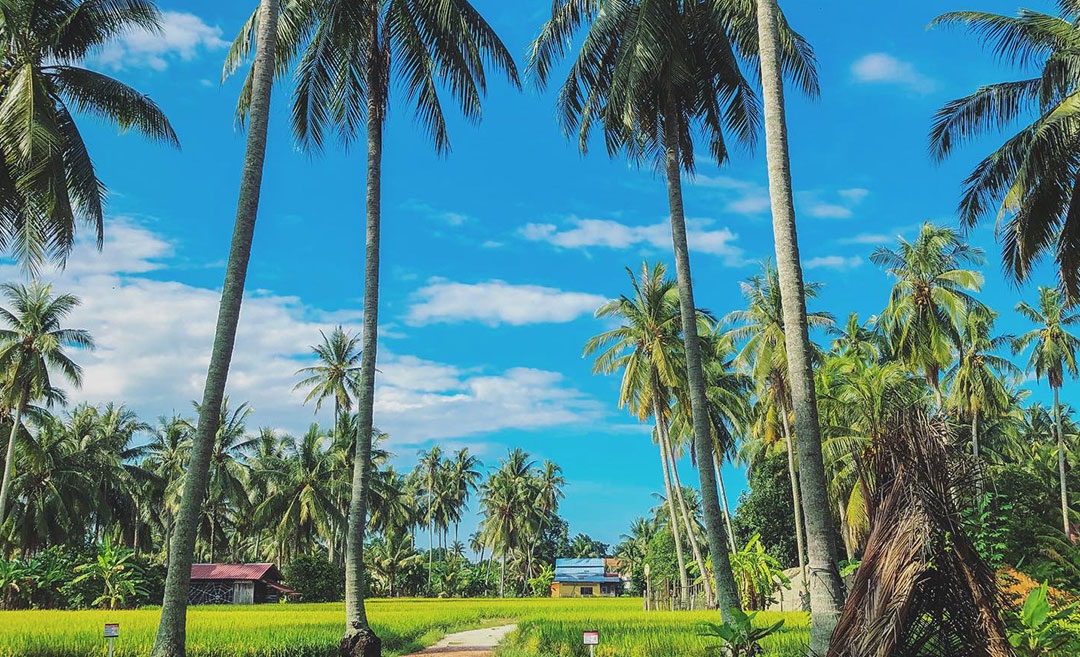 Picture Perfect: 10 Best Spots In Penang For A Photoshoot - Zafigo