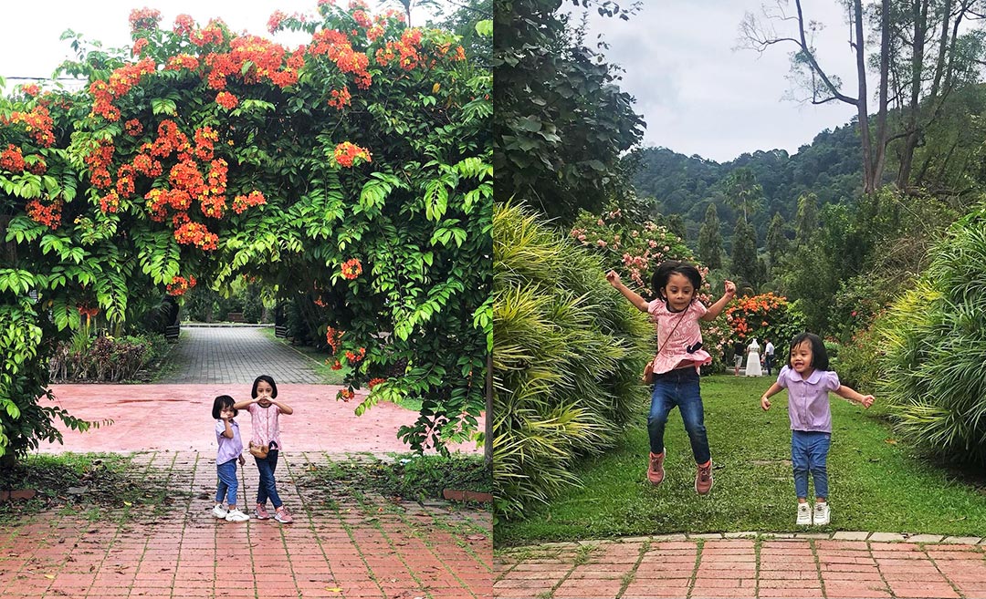 Picture Perfect: 10 Best Spots In Penang For A Photoshoot - Zafigo
