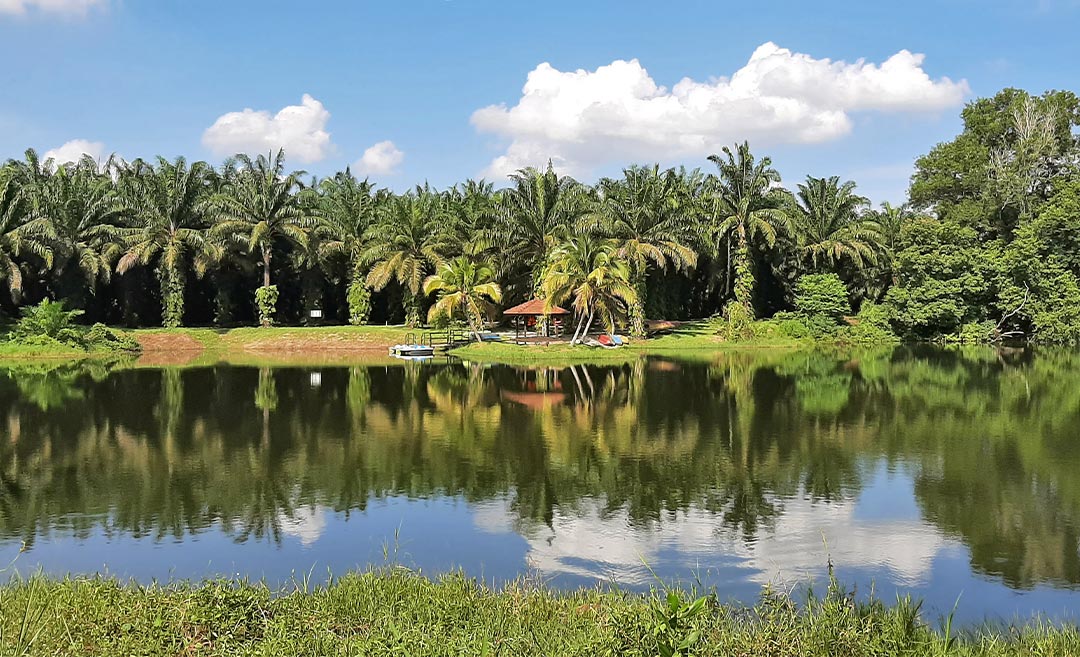 7 Reasons Mangala Resort & Spa Is The Perfect Getaway Destination - Zafigo