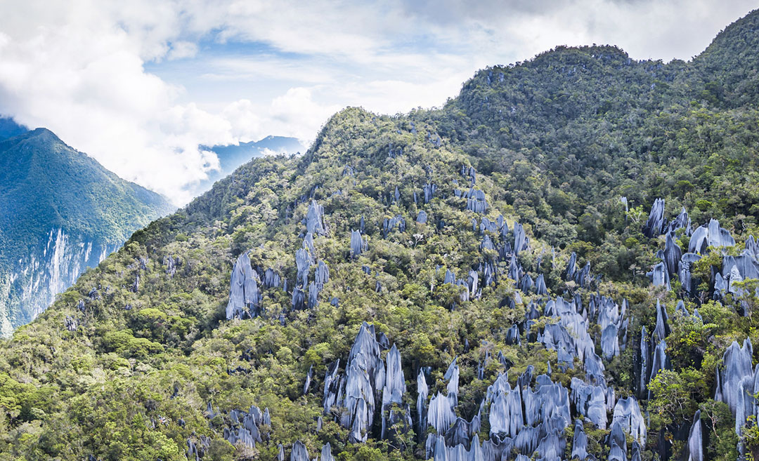 4 Reasons To Visit Gunung Mulu National Park, Sarawak