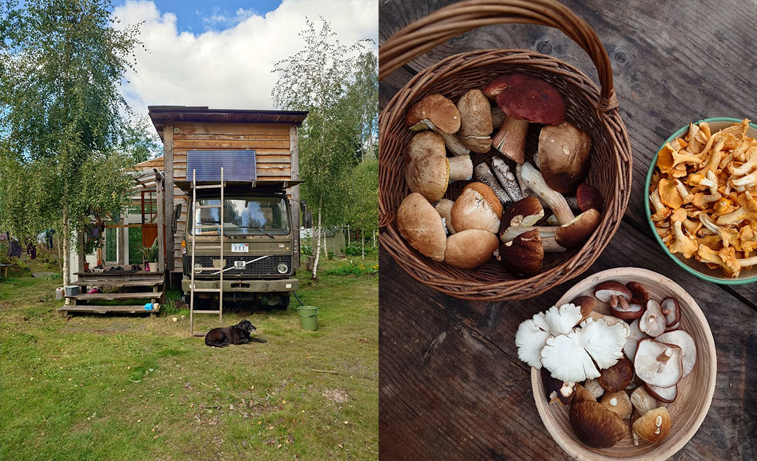Going Off-Grid: 5 Eye-Opening Lessons From A Swedish Homestead